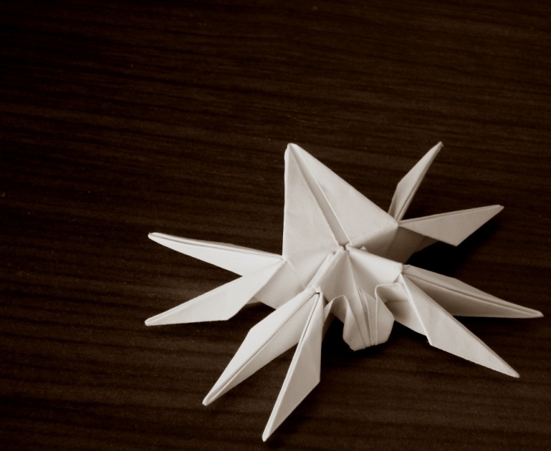 Origami: The Japanese Art of Paper Folding | Kyuhoshi