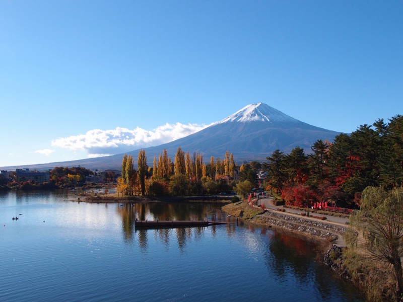 10 Best Places to See Autumn Leaves in Tokyo | Kyuhoshi