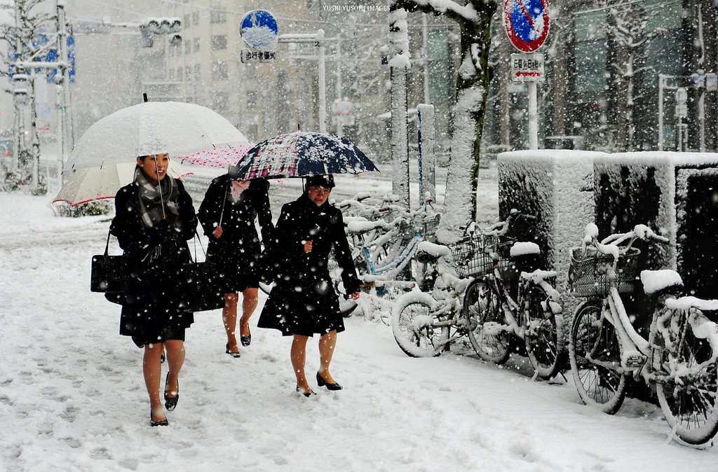 snow_storm_in_japan | Kyuhoshi