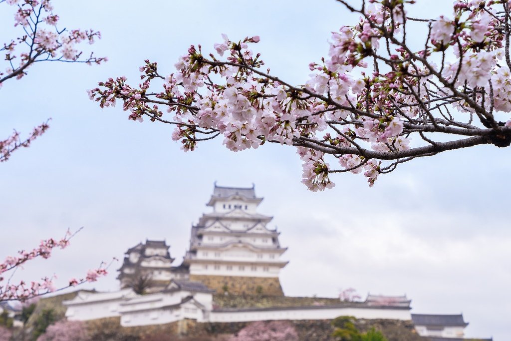 10 Iconic Japanese Castles to Visit in Spring | Kyuhoshi