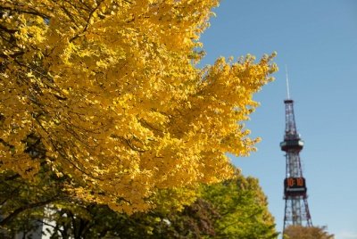 Autumn Leaves in Hokkaido | Japan Fall 2026 | Kyuhoshi
