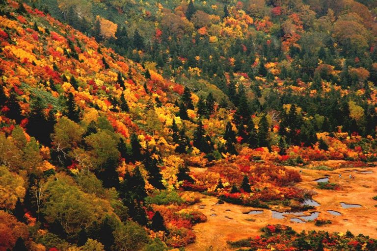 10 Best Places to see Autumn Leaves in Tohoku | Kyuhoshi