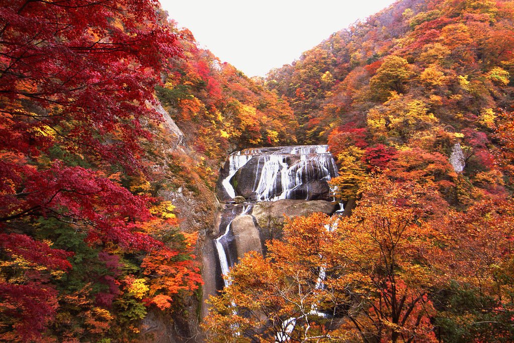 fukuroda_falls_ibaraki | Kyuhoshi