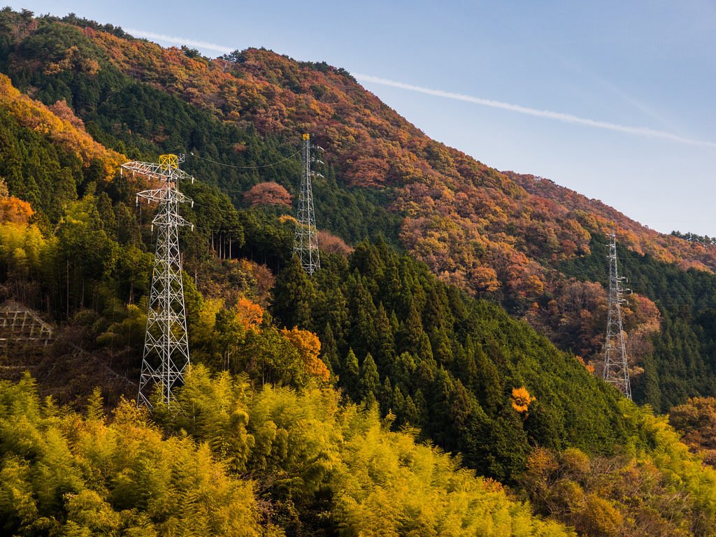 japanese_mountain_slope_in_autumn | Kyuhoshi