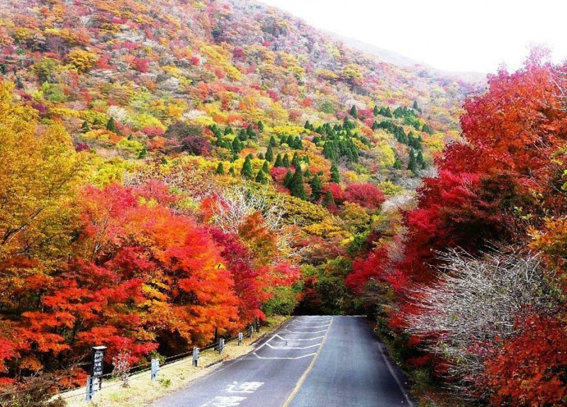 10 Famous Japanese Mountains to See in Autumn | Kyuhoshi