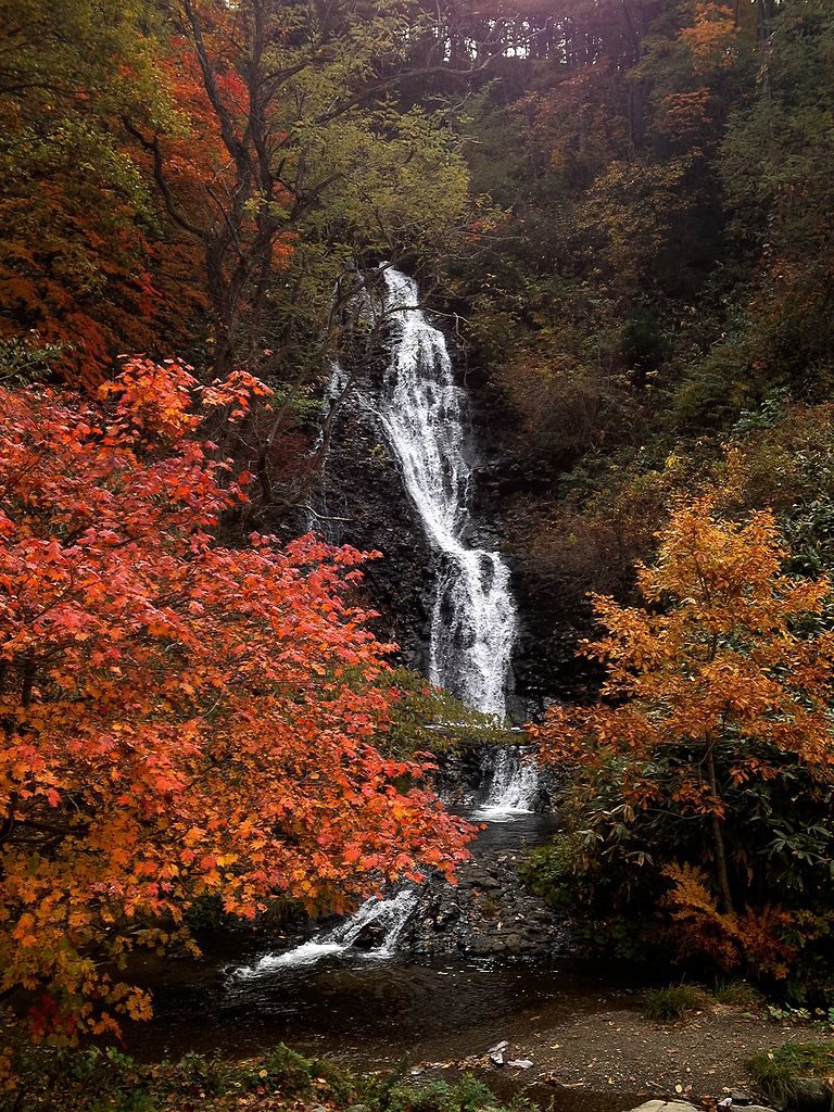 10 Beautiful Waterfalls to See in Japan in Autumn | Kyuhoshi