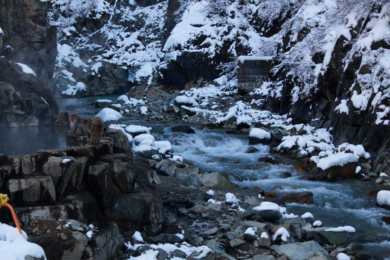 10 Best Things to Do in Japan in Winter | Kyuhoshi