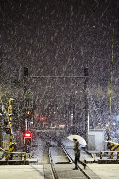 What to Do in Tokyo in Winter | Tokyo Travel | Kyuhoshi