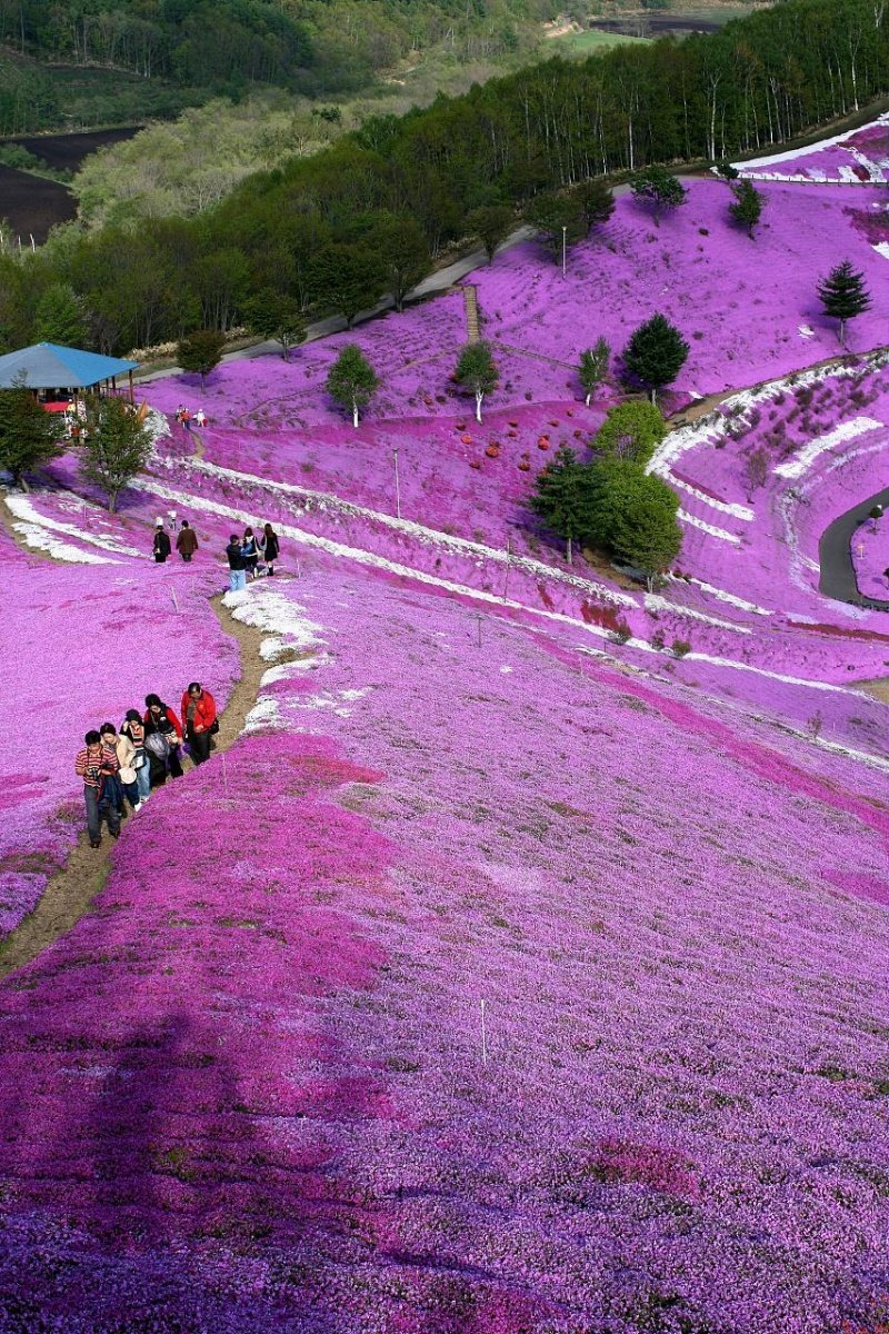 10 Best Things to Do in Hokkaido in Spring | Kyuhoshi