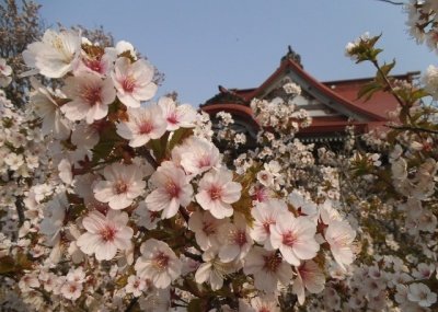 12 Best Things to Do in Nemuro, Hokkaido | Kyuhoshi