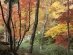 7 Days in Hokkaido Autumn Itinerary (Mid-October) | Kyuhoshi
