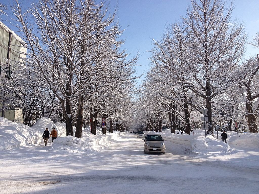 9 Days in Hokkaido Winter Itinerary | Dec-Jan | Kyuhoshi