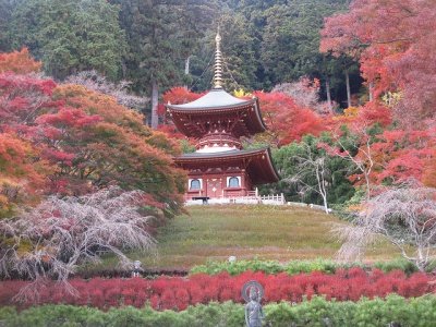 7 Best Places to See Fall Foliage in Osaka | Kyuhoshi