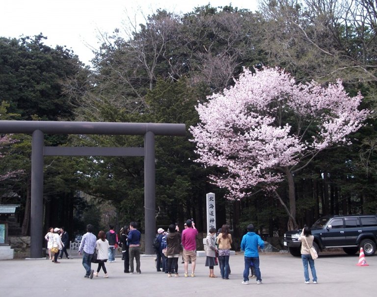 8 Best Things to Do in Sapporo in Spring | Kyuhoshi