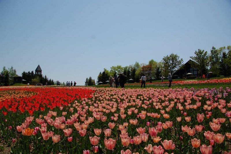 8 Best Things to Do in Sapporo in Spring | Kyuhoshi