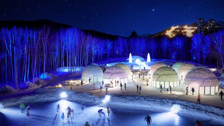 What to do in Hokkaido in January | Kyuhoshi