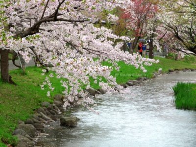 Spring in Sapporo | Travel Guide 2026 | Kyuhoshi