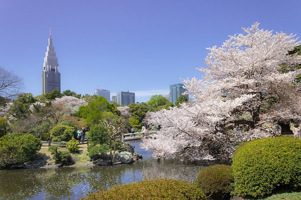 10 Best Parks and Gardens to Visit in Tokyo | Kyuhoshi