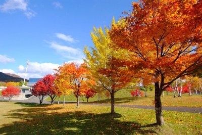 11-Day in Hokkaido Itinerary - October | Kyuhoshi