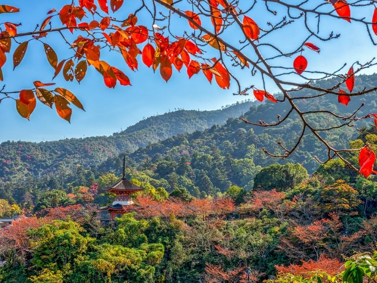6 Best Places to See Autumn Leaves in Hiroshima | Kyuhoshi