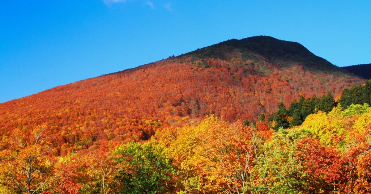 8 Best Places to See Fall Foliage in Yamagata | Kyuhoshi