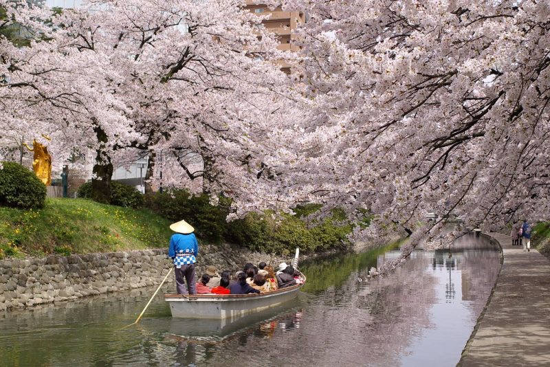 sakura_matsukawa_river_toyama_japan | Kyuhoshi