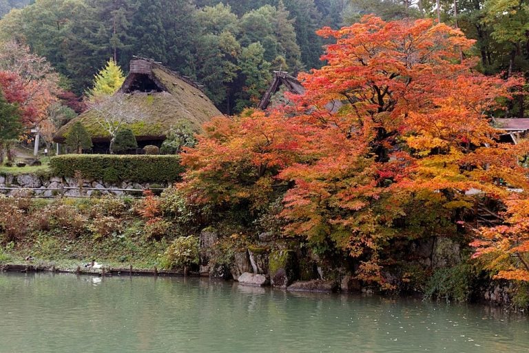 Autumn Leaves in Takayama | Visit Gifu | Kyuhoshi