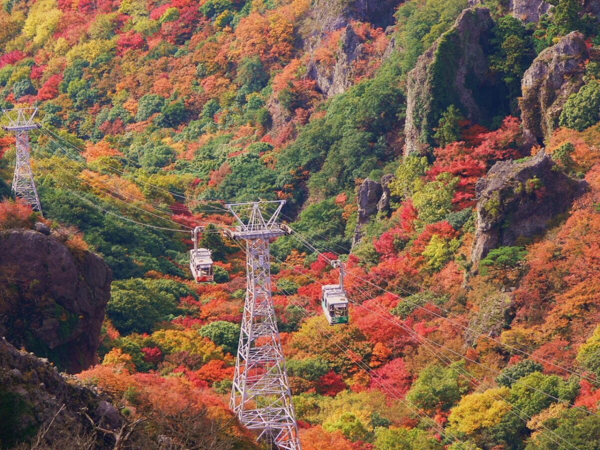 Where to See Autumn Leaves in Shikoku | Kyuhoshi