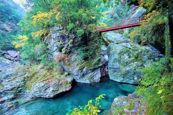 Where to See Autumn Leaves in Shikoku | Kyuhoshi
