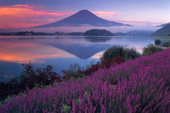 10 Best Things to Do in Japan in June | Kyuhoshi