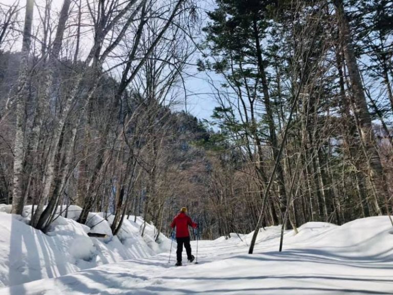 14-Day in Hokkaido Winter Itinerary - February | Kyuhoshi