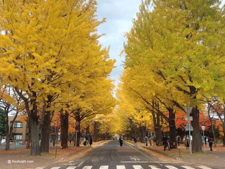 11-Day in Hokkaido Itinerary - October | Kyuhoshi