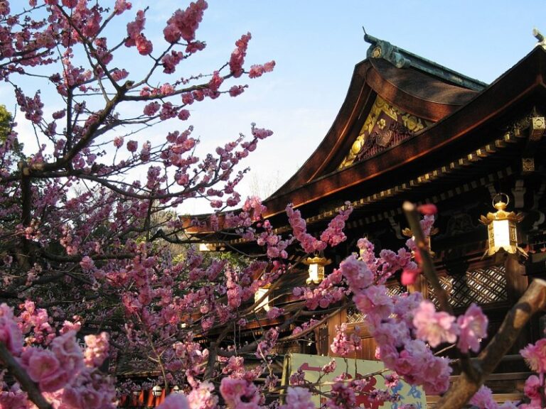 What to Do in Kyoto in Spring 2026 | Kyoto Travel | Kyuhoshi
