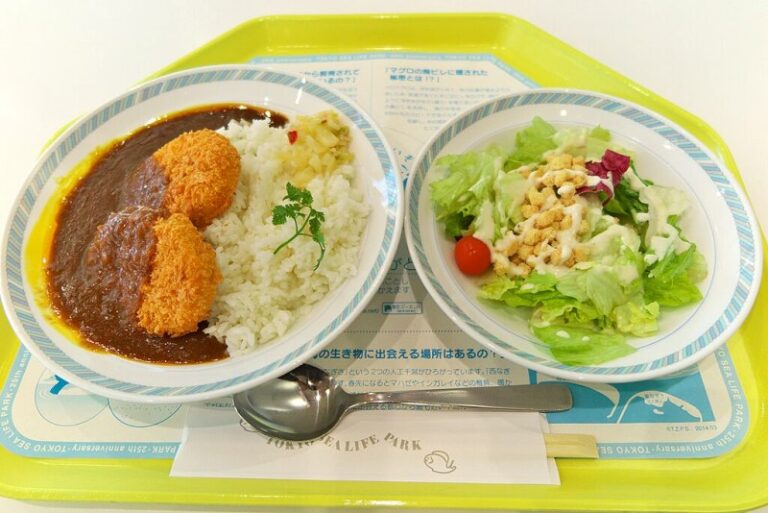 What to Eat in Tokyo | Tokyo Food Guide | Kyuhoshi
